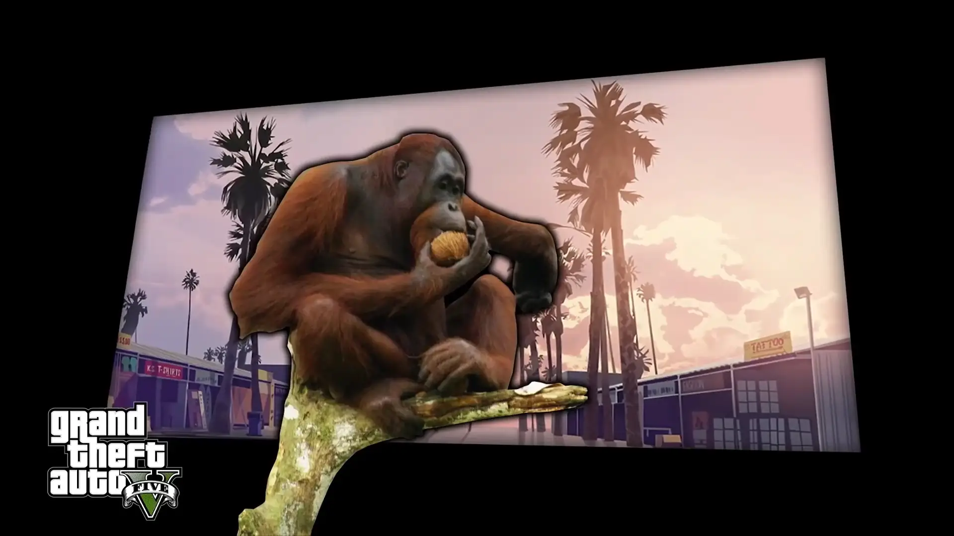 Monkey Driving Grand Theft Auto V Live Wallpaper
