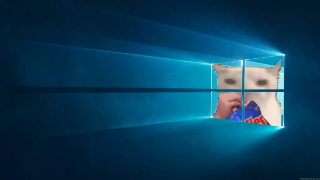 Meme Cat Eating Chips through Windows Logo Live Wallpaper