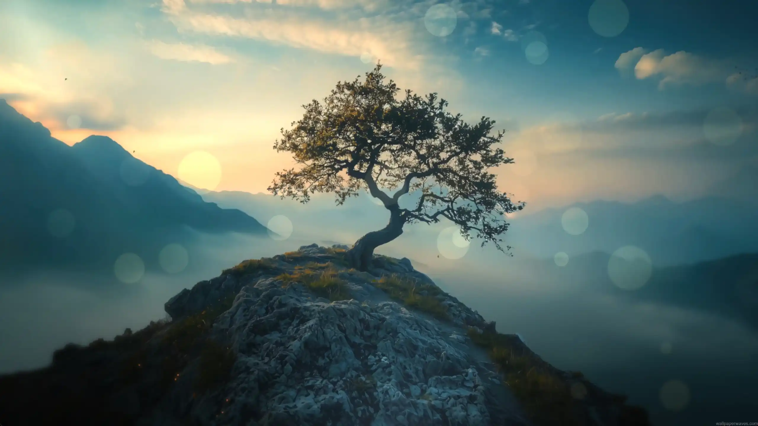 Zen Tree on Foggy Mountains Live Wallpaper