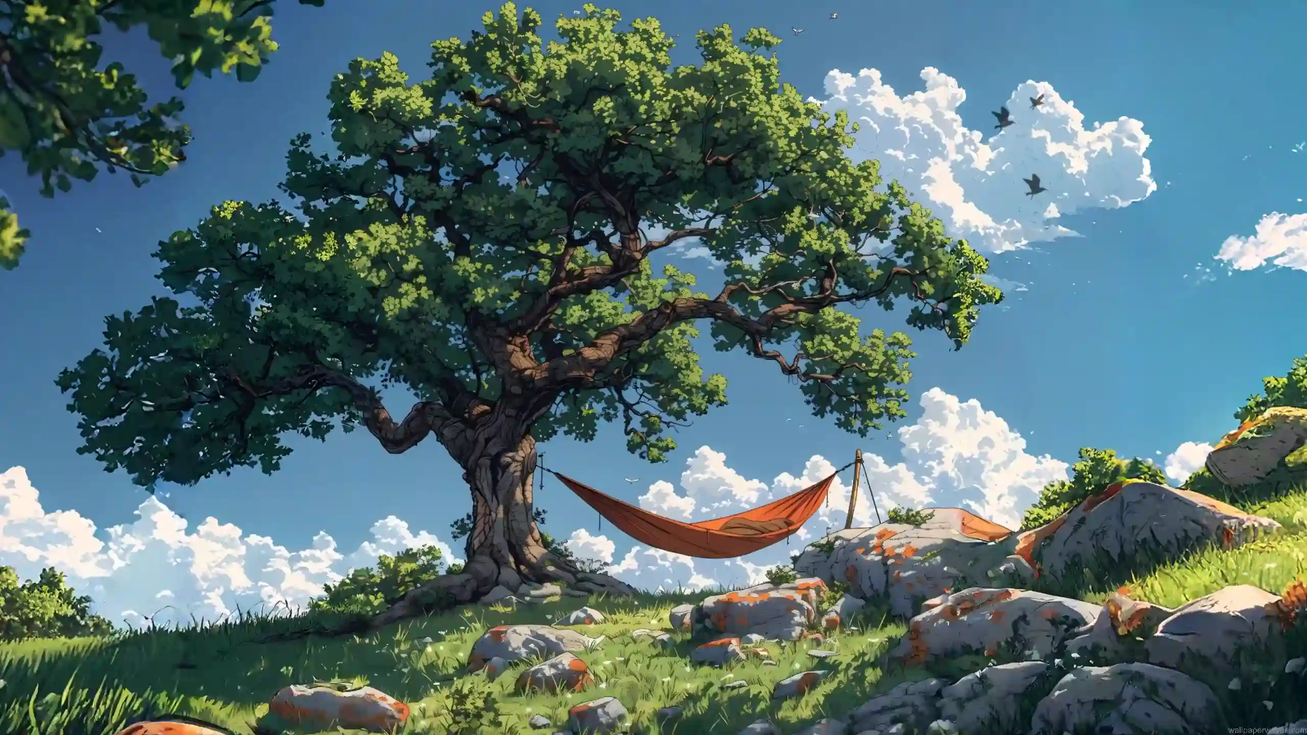 Best Clouds Live Wallpapers in 4K & Full HD – 100% Free & Dynamic